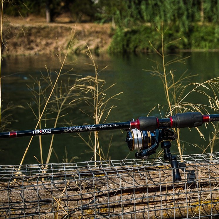 Teklon Domina rod - Grauvell